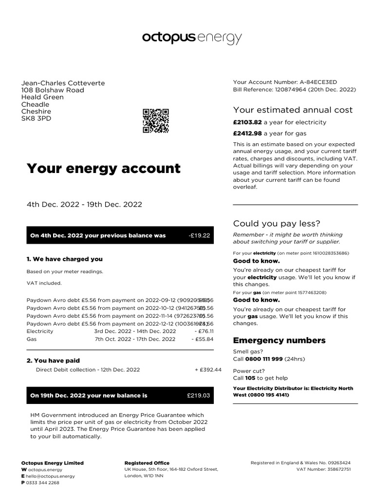 Octopus Energy Statement 2022 12 19 | PDF
