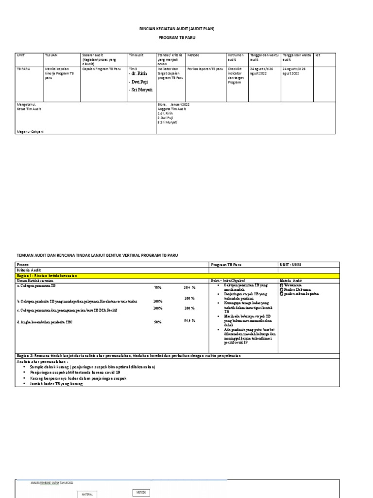 Audit Internal - TB Paru - 2022 | PDF