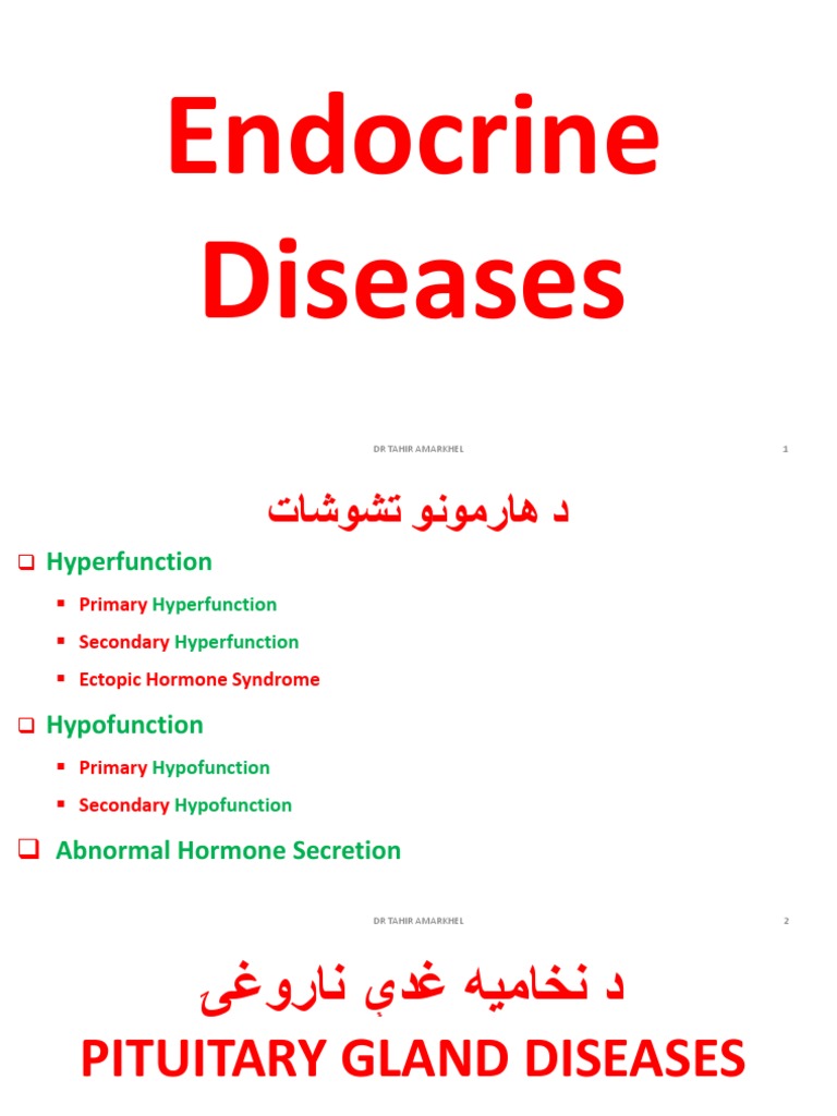 4 Endocrine System | PDF