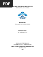 Isolasi Mikroorganisme: Metode Cawan Gores & Tuang | PDF | Sains ...