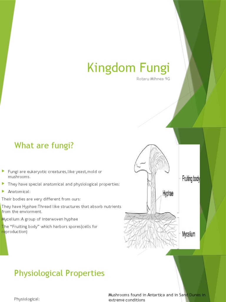 Kingdom Fungi | Download Free PDF | Fungus | Reproduction
