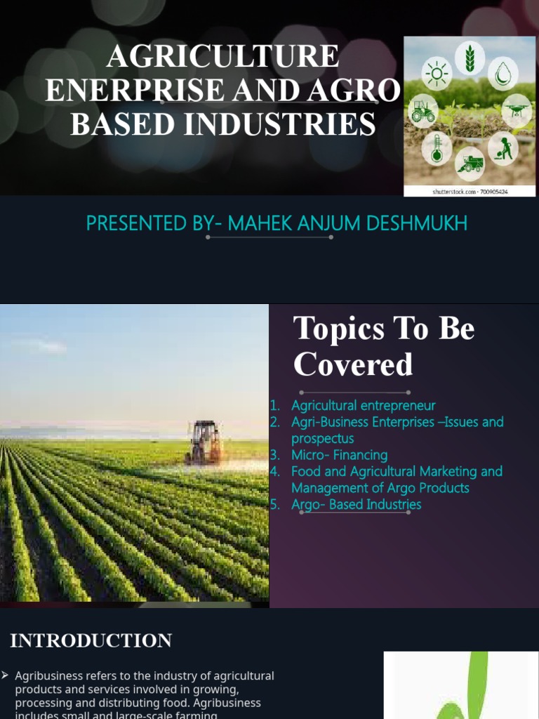 Understanding Agro-Based Industries | PDF | Agribusiness | Entrepreneurship