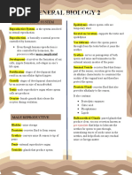 Animal Science Terms | PDF | Chicken | Cattle