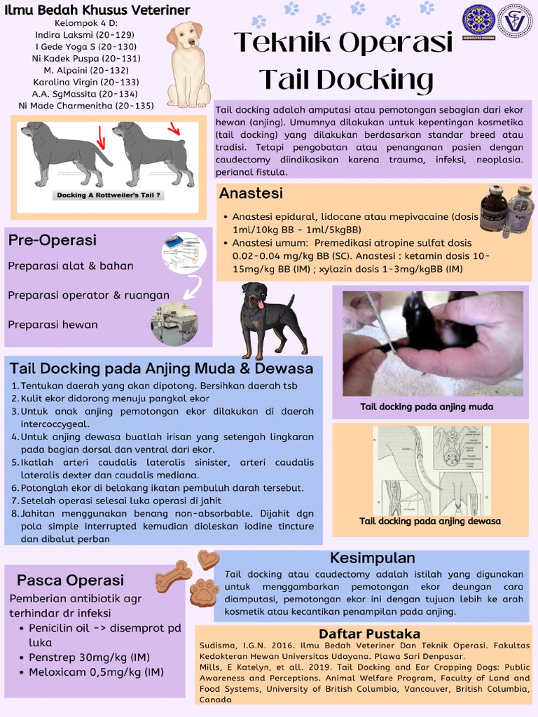 Laporan Poster Dan Ujian Poster CBL Kelompok 4D - Tail Docking | PDF