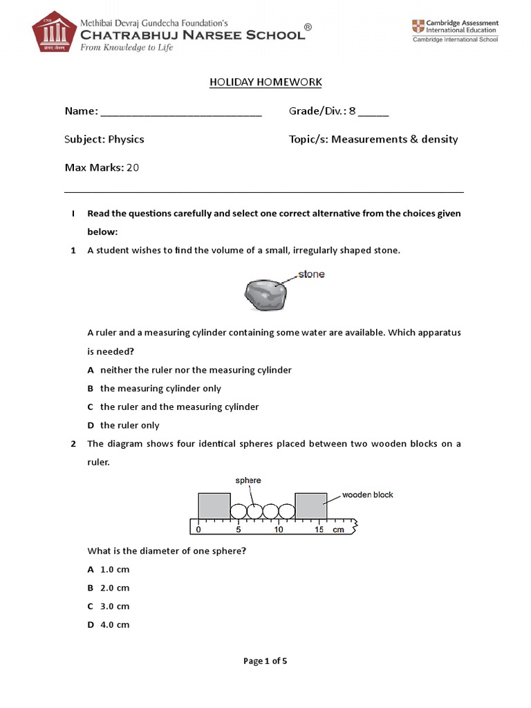 Grade 8 Holiday Homework | PDF | Velocity | Speed