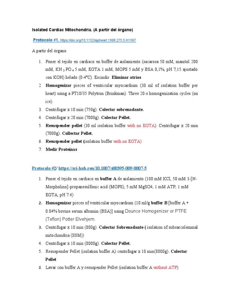 Isolated Cardiac Mitochondria Protocols | PDF | Buffer Solution ...