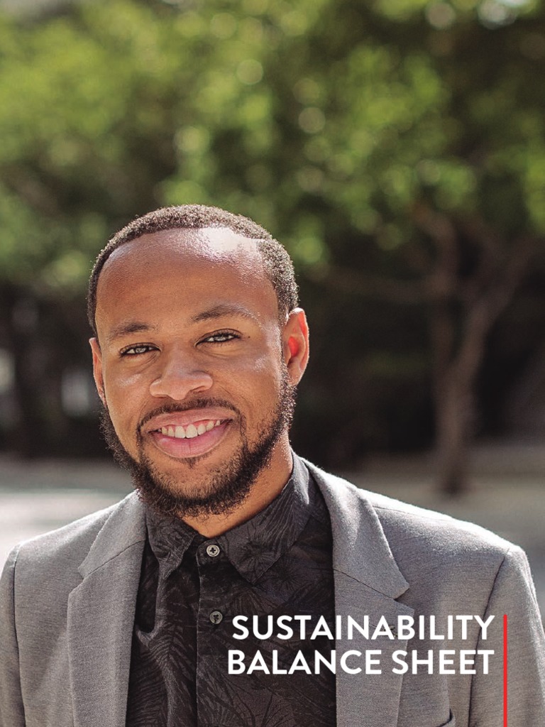 Sustainability Balance Sheet | PDF | Supply Chain | Corporate Social ...