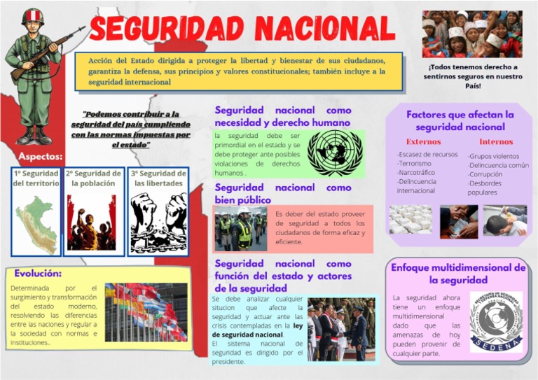 Infografia Seguridad Nacional | PDF