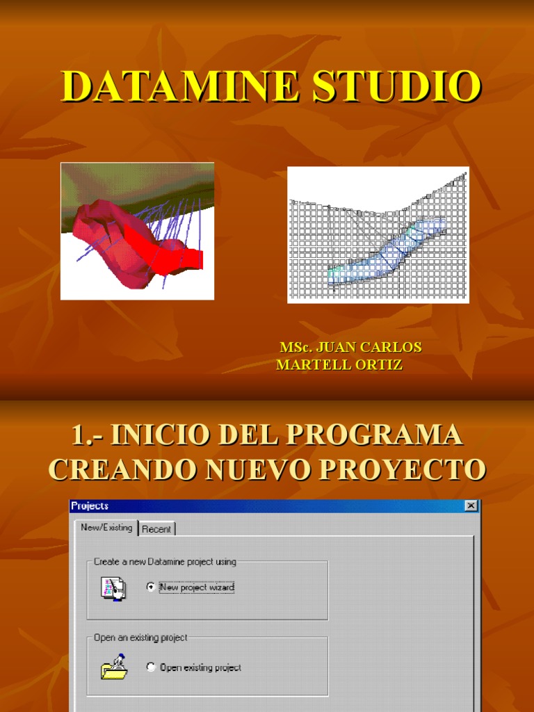 Datamine Studio | PDF