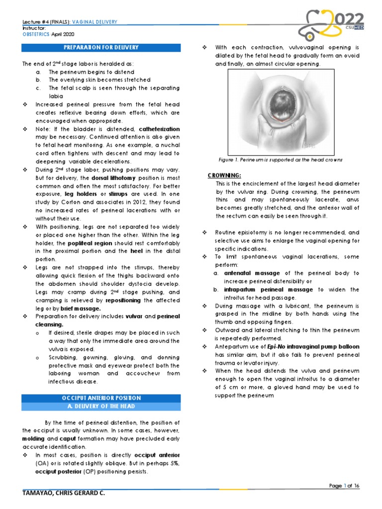 19 - Vaginal Delivery | PDF | Childbirth | Pelvis