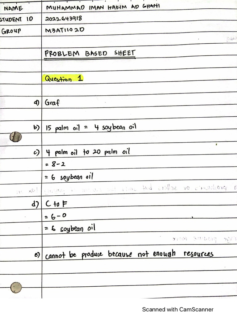Problem Based Sheets | PDF