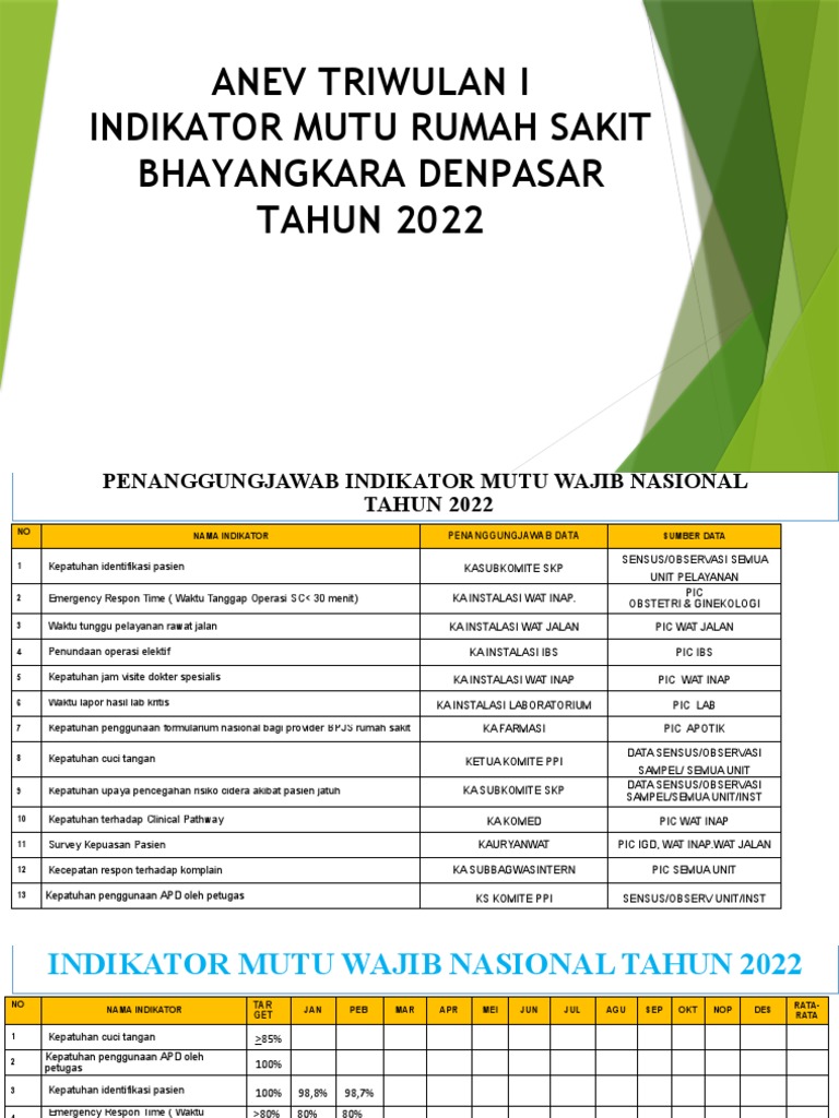 Anev Triwulan 1 TH 2022 | PDF