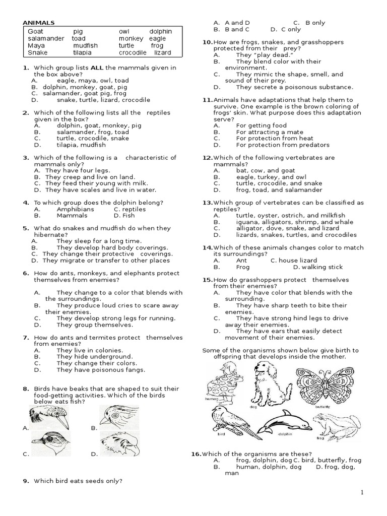 NAT Reviewer On Animals | PDF | Reptile | Predation