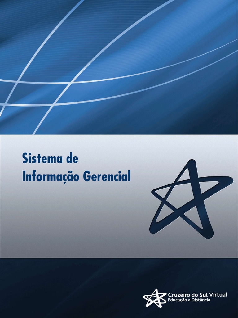 Sistema de Informação Gerencial Parte II | PDF