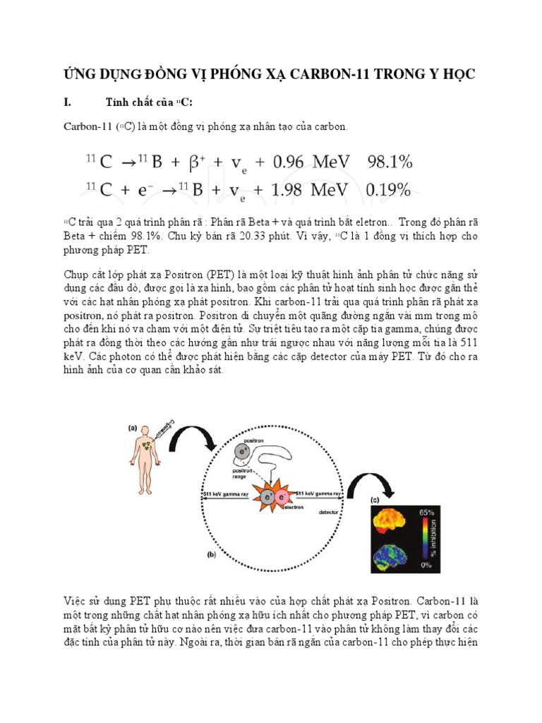 NG D NG Cacbon 11C | PDF