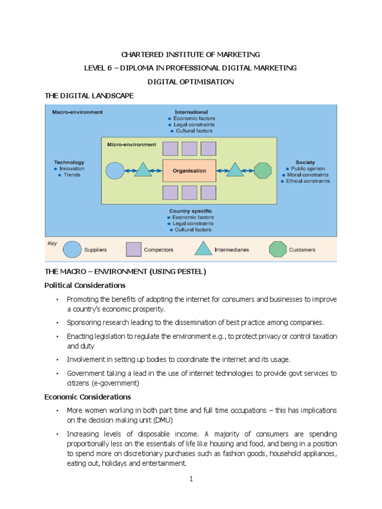 The Digital Landscape | PDF | Digital Marketing | Marketing