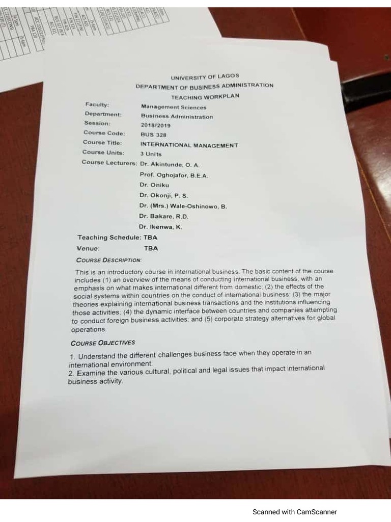 Bus 328 Int'l MGT | PDF