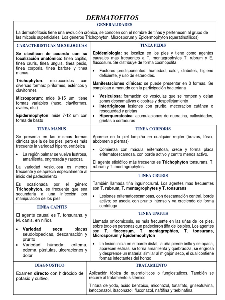 DERMATOFITOS | Descargar gratis PDF | Especialidades Medicas | Medicina