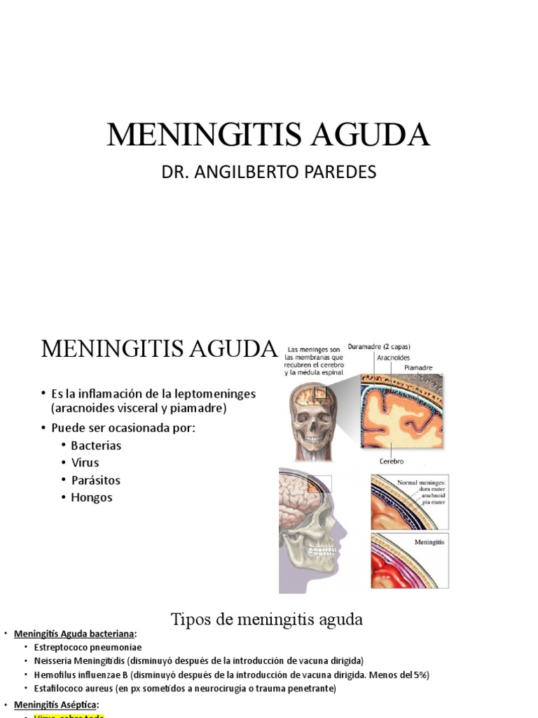 Meningitis Aguda: Causas y Tratamiento | PDF | Ciencia y matemáticas