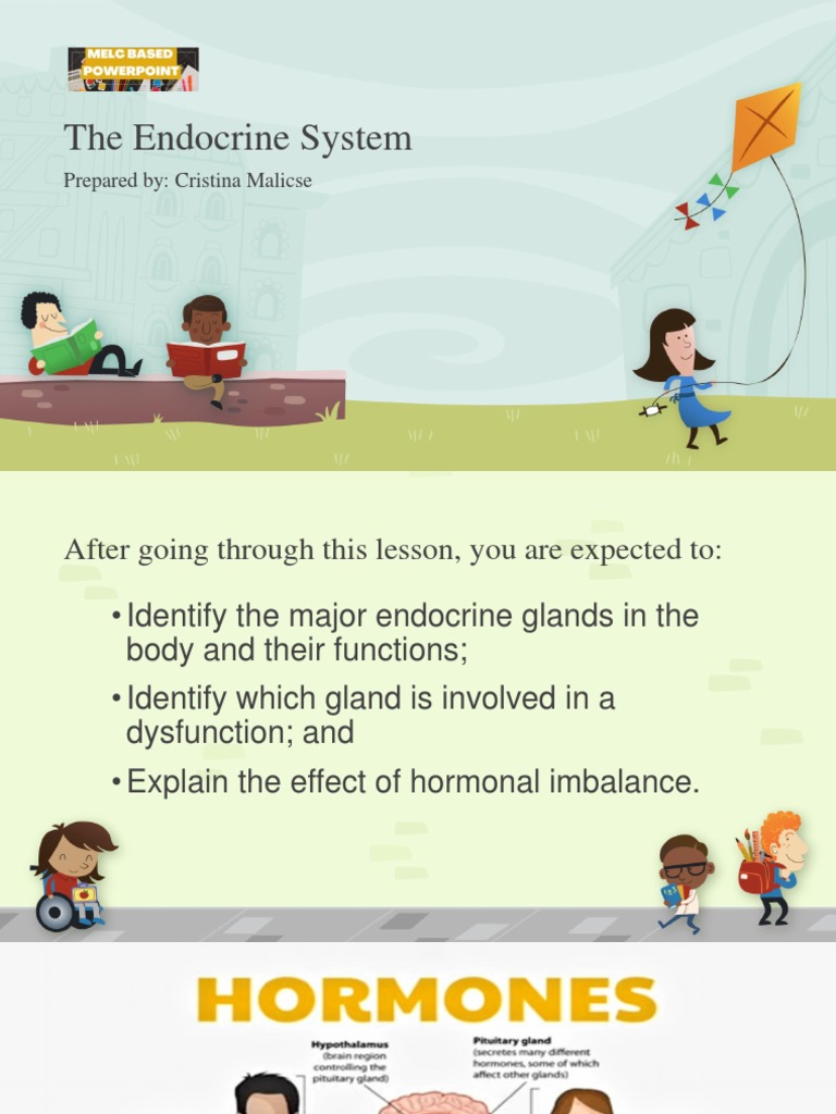 G10 Science Q3 Endocrine System | PDF