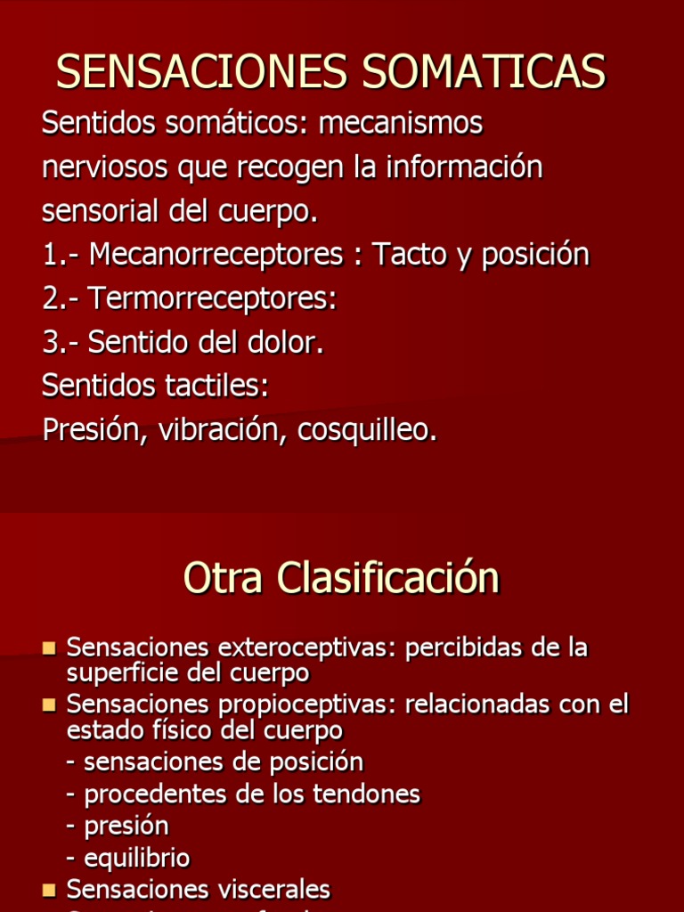 SENSACIONES SOMATICAS