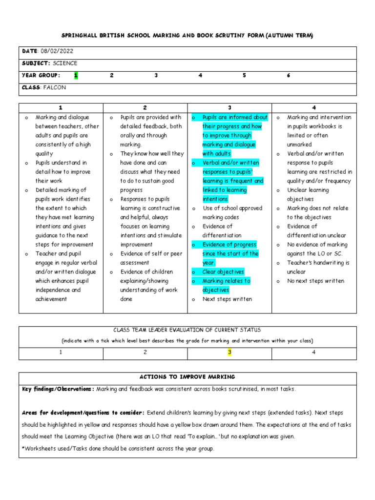 Y1 Falcon - Marking and Book Scrutiny Feedback | PDF | Learning ...