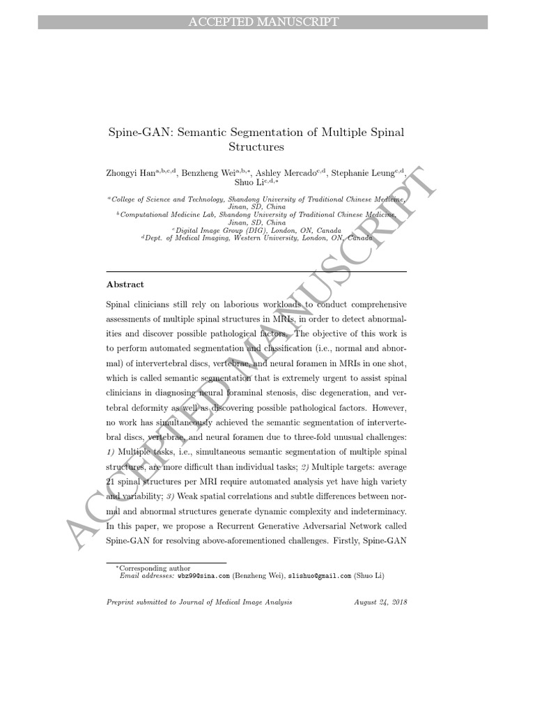 Spine GAN Semantic Segmentation of Multi | PDF | Vertebral Column ...