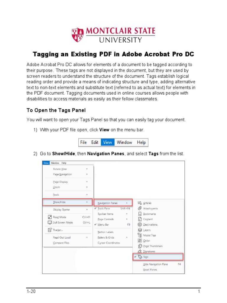 Tagging An Existing PDF in Adobe Acrobat DC | PDF | Software | Computing