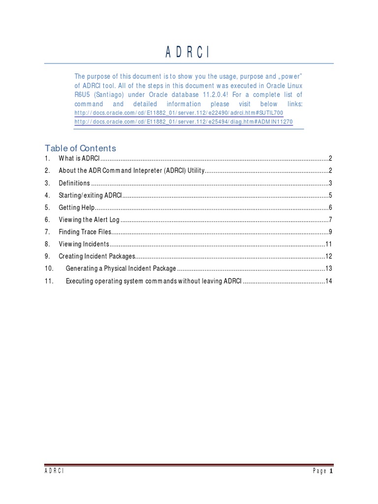 ADRCI | PDF