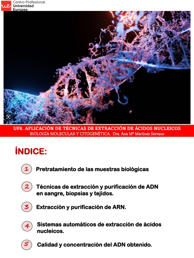 Bmcg Uf8 Extracción Y Purificación De ácidos Nucleicos Ok Pdf