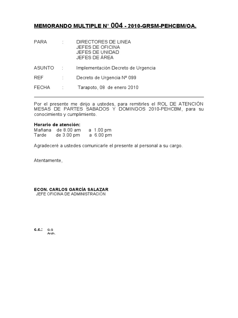 Implementación y Reuniones PEHCBM 2010 | PDF