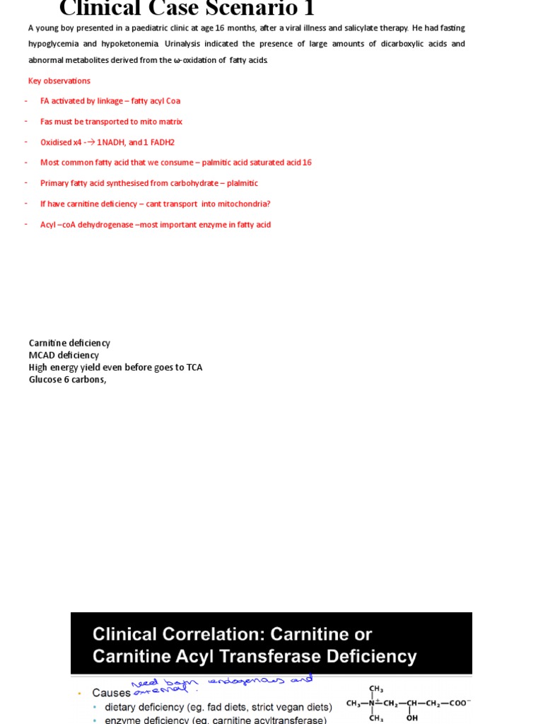 Tutorial 5 - Lipid Metabolism Tutorial Case | PDF | Metabolism | Chemistry
