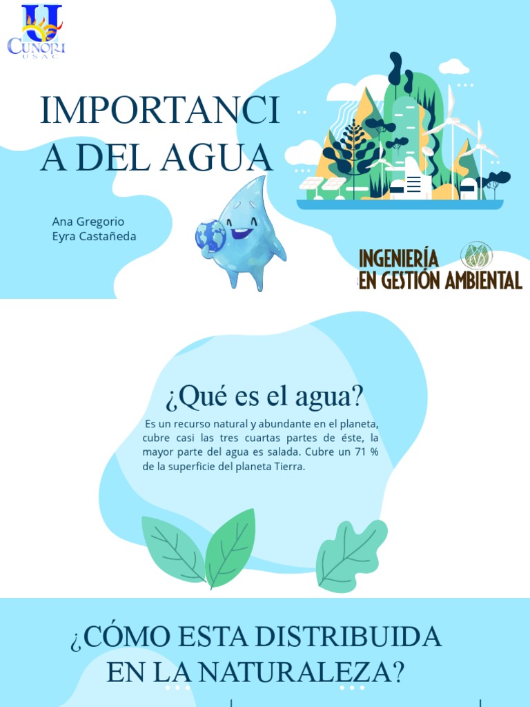 Importancia Del Agua | PDF