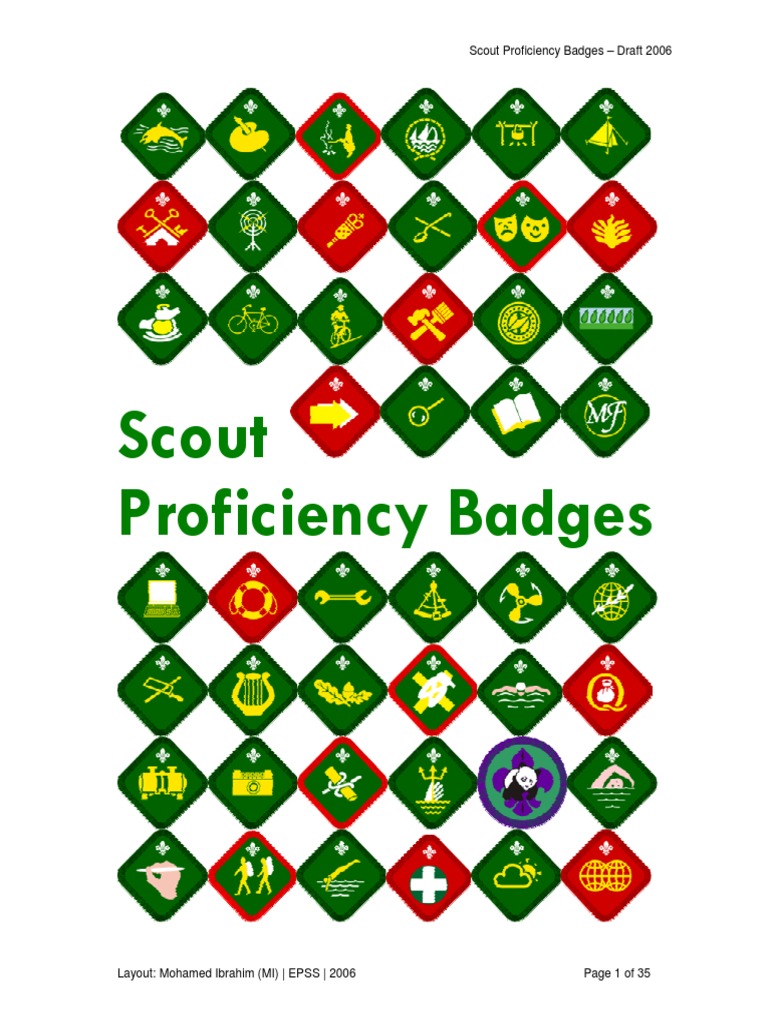 Scout - Badge Syllabus | Download Free PDF | Injury | Burn