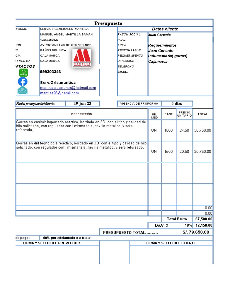 proforma gorras | PDF
