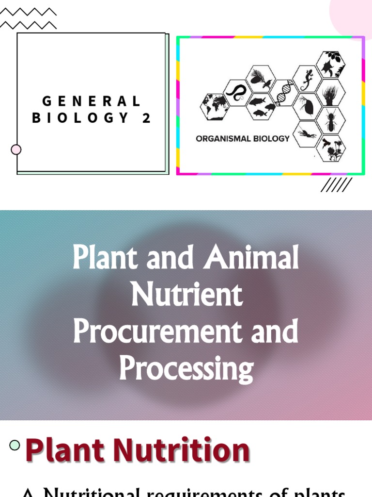 Science - General Biology 2 - Week 1 (Nutrient Procurement) | PDF ...