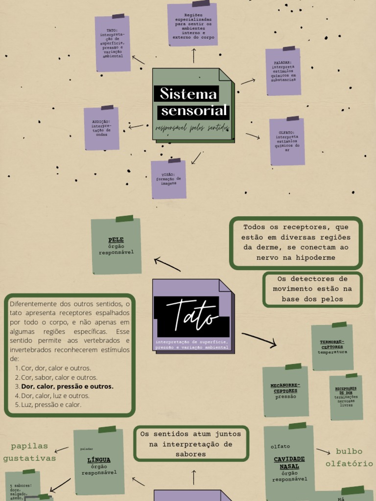 Mapa Mental - Sistema Sensorial | PDF | Orelha | Audição