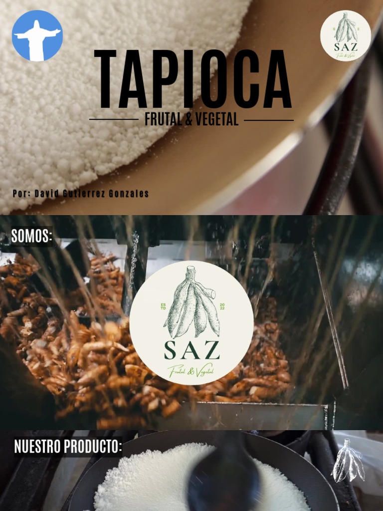 TAPIOCA FRUTAL Y VEGETAL - Compressed | PDF | Tecnología