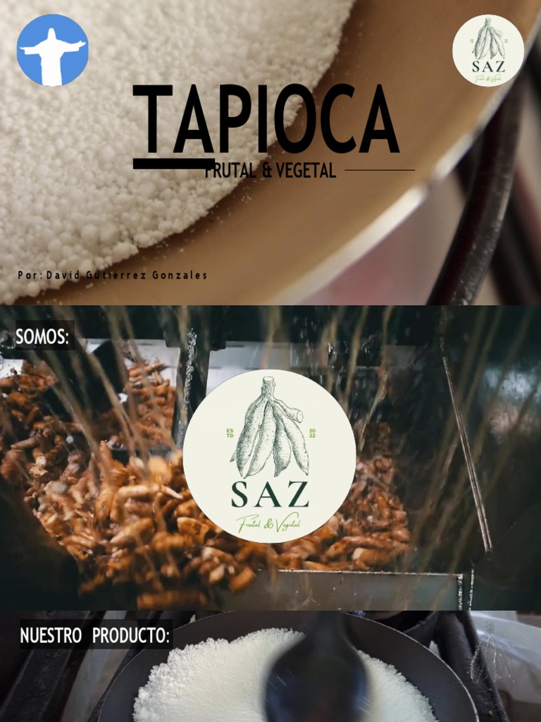Tapioca | PDF
