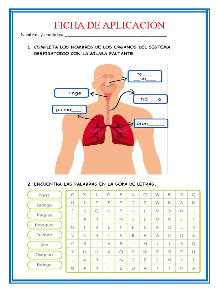 Ficha de Aplicacion Sistema Respiratorio | PDF