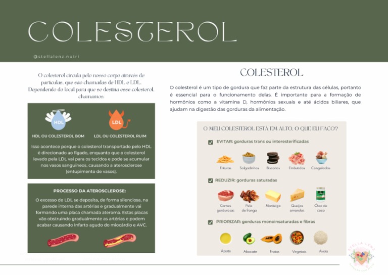 Colesterol | PDF