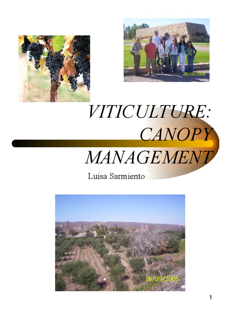 Canopy Management Slides | PDF | Fruit | Grape