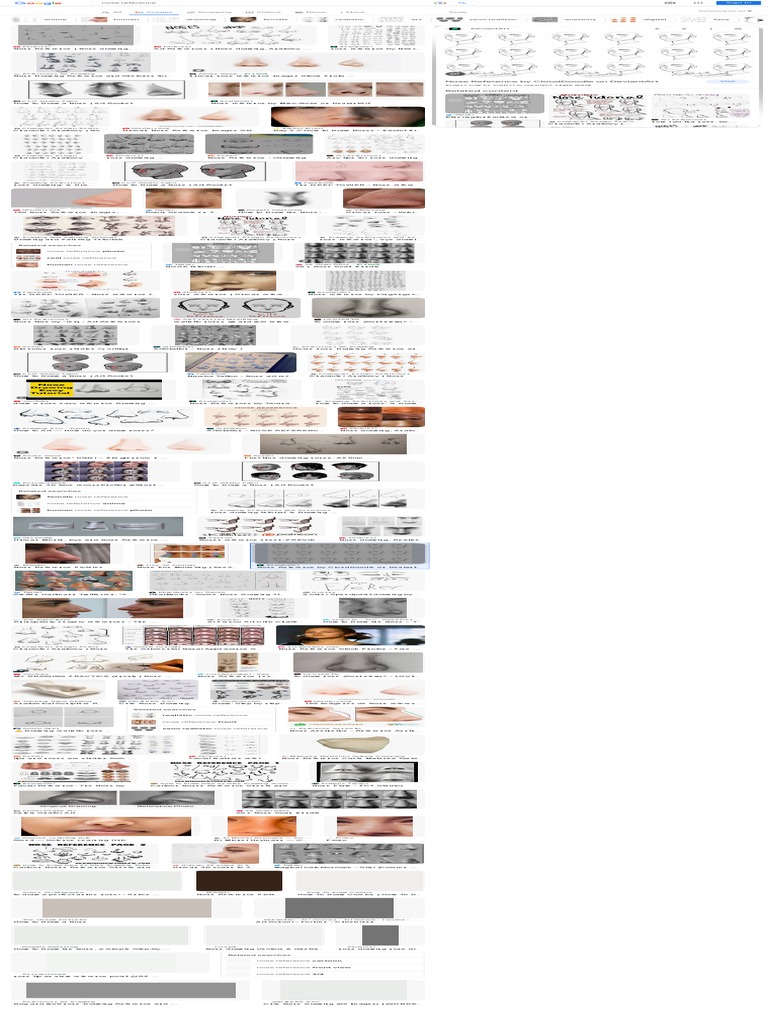Nose Reference - Google Search | PDF