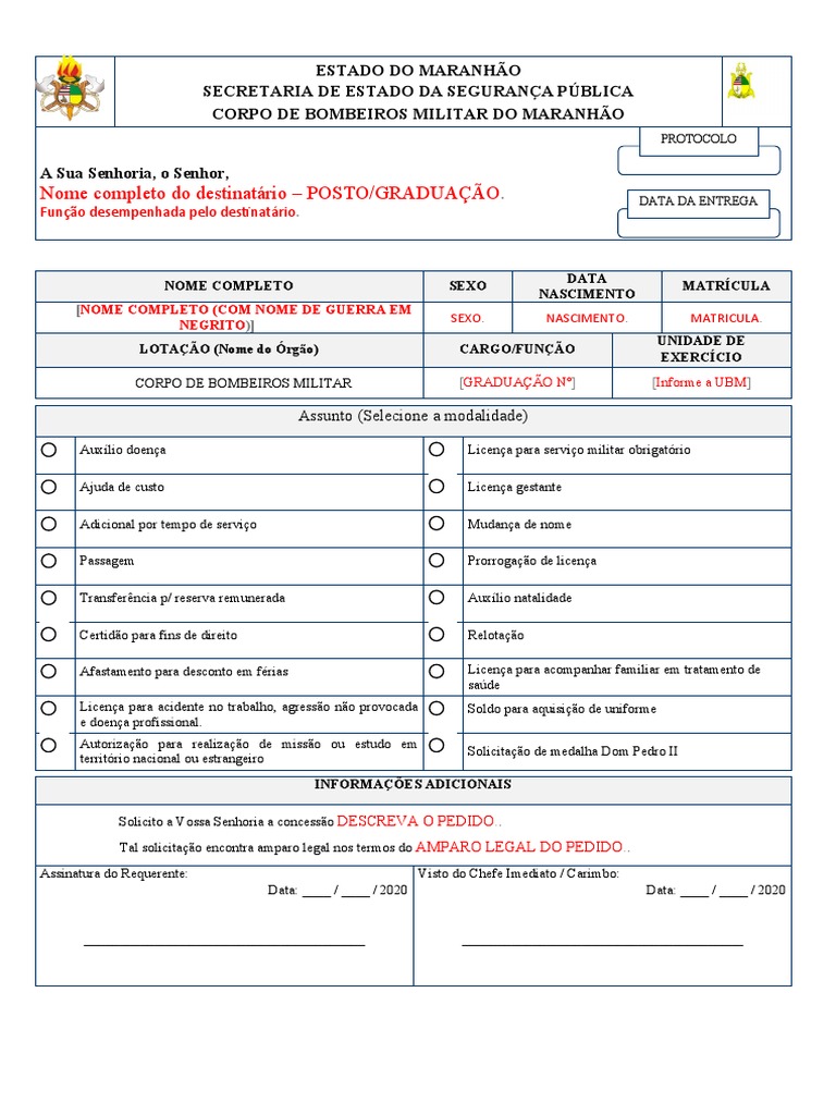 Modelo de Requerimento de Servidor | PDF