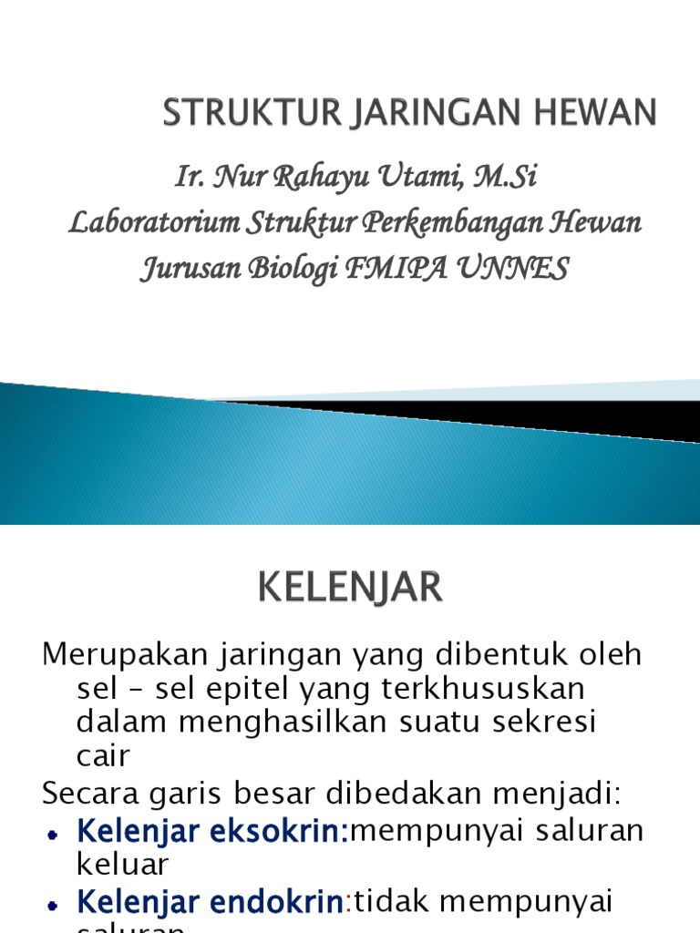 Klasifikasi Kelenjar Multiseluler | PDF