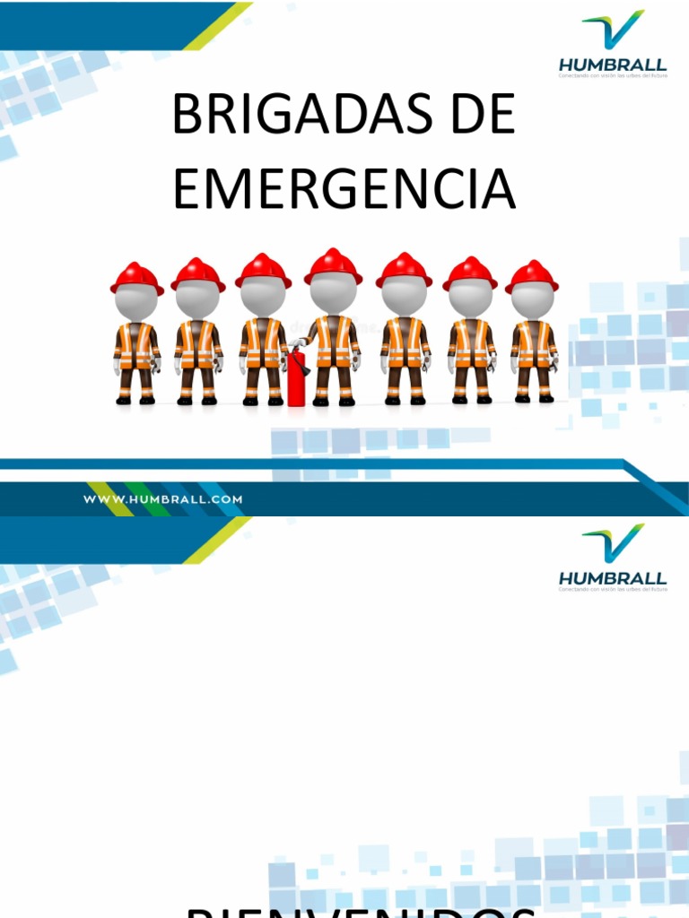 Brigadas | PDF | Defensa Civil | Emergencia
