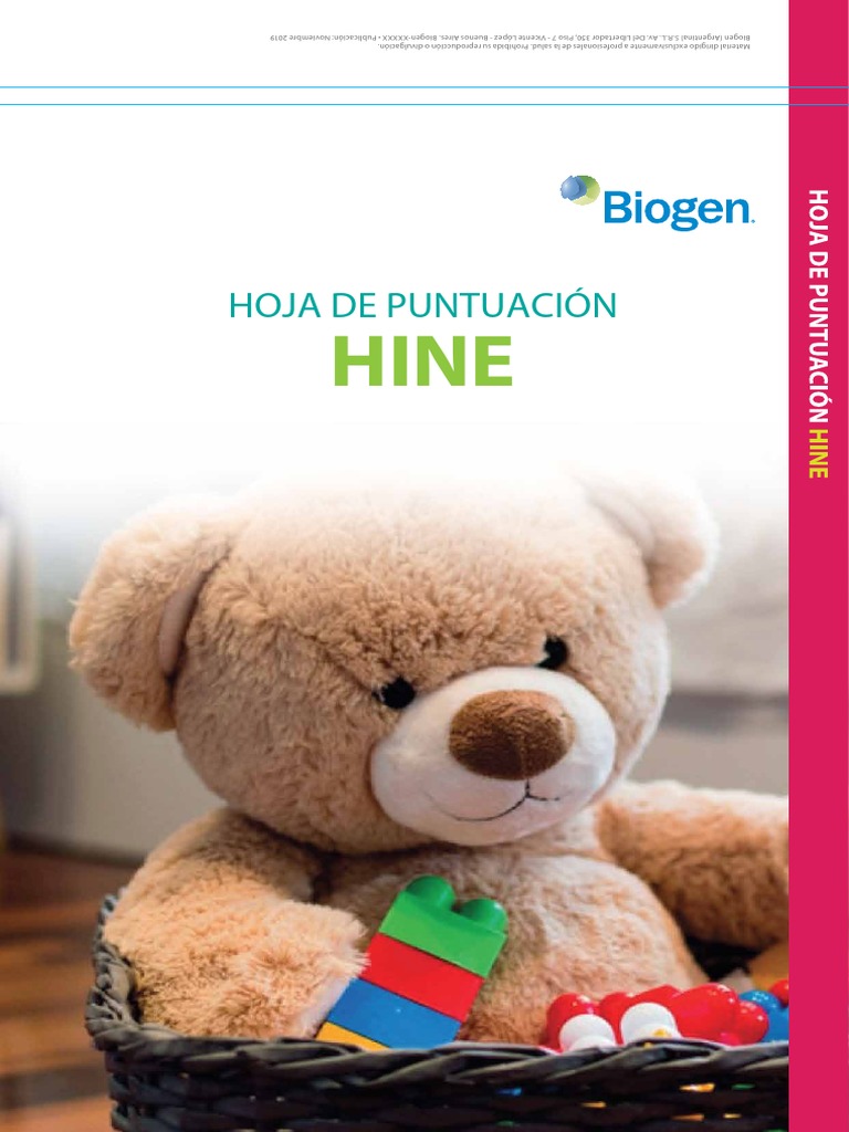 Hoja de Evaluación HINE - AME Argentina | PDF
