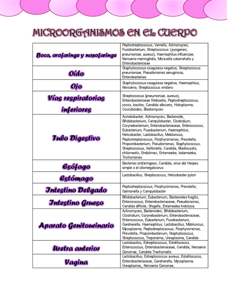 Microorganismos en El Cuerpo | PDF | Estreptococo | Microorganismo