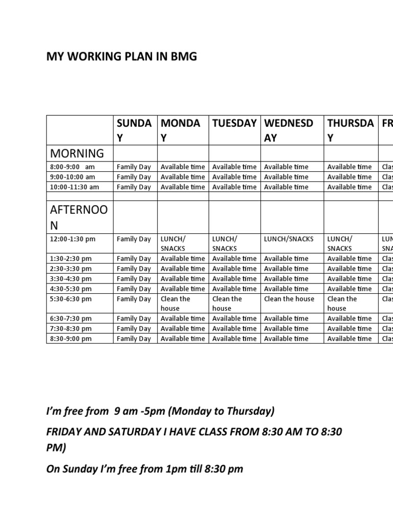 My Working Plan JN BMG | PDF