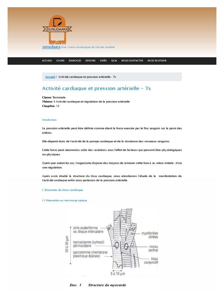 Activite Cardiaque Et Pression Arterielle - Ts Sunudaara | PDF